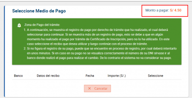 ¿Cómo Sacar C4 Reniec y Para qué Sirve? - Tramita Ahora